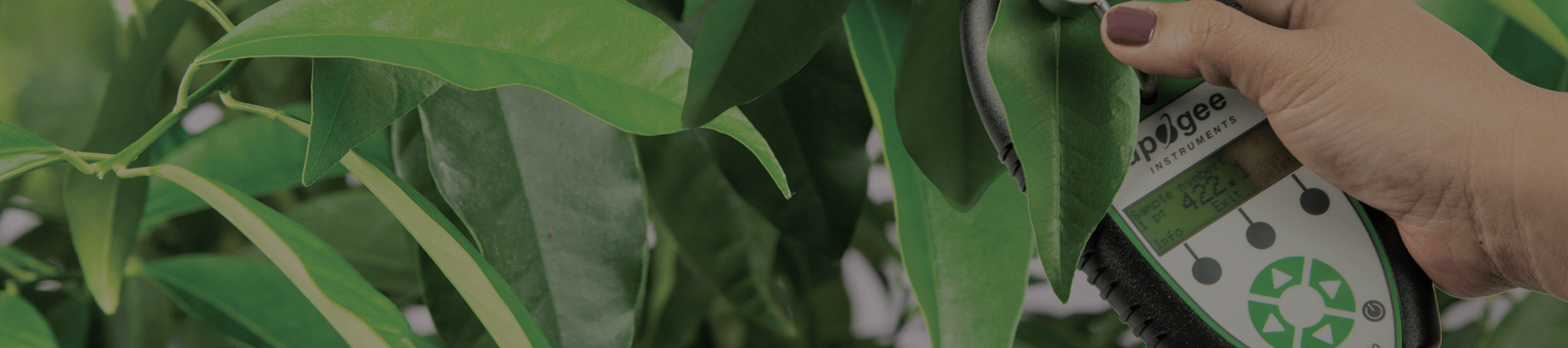 Chlorophyll Content Meter | Apogee Instruments